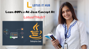 Learn OOPs & All Java Concept At LotuITHub? | My Blog
